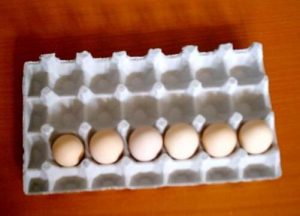 The Different Types Of Egg Trays